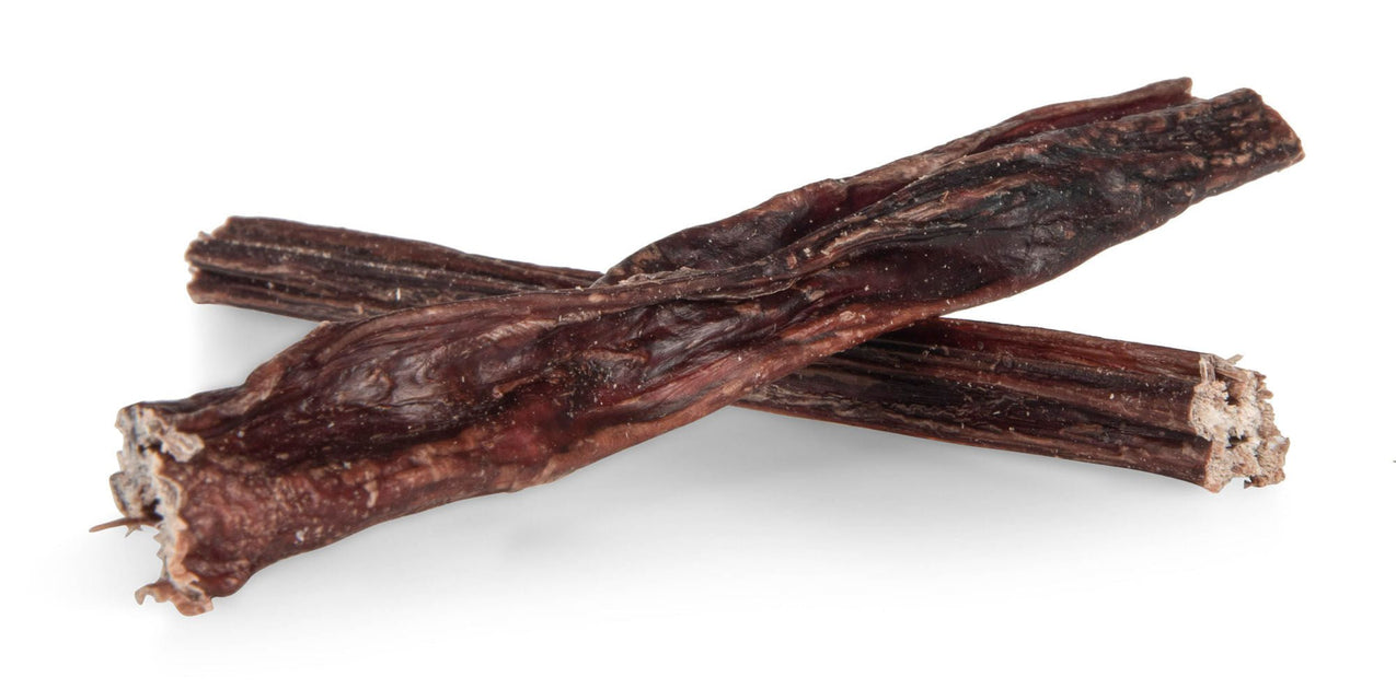 Mini Bulls Pixie Sticks for Dogs — Pet Supplies 4 Less