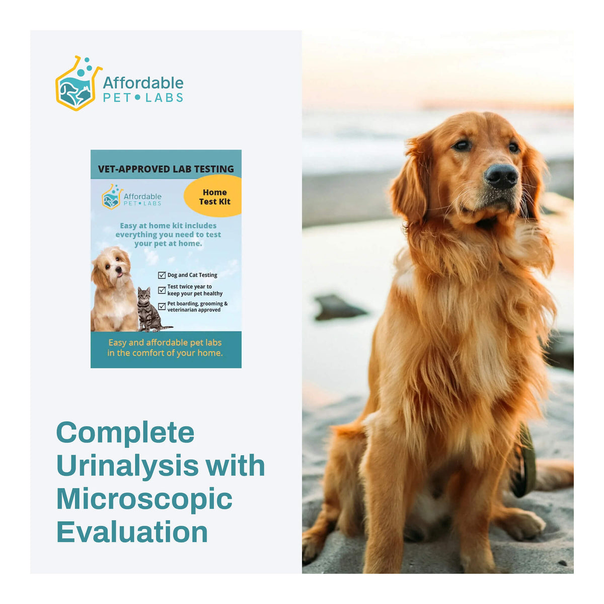Complete Urinalysis with Microscopic Evaluation For Dogs — Pet Supplies ...