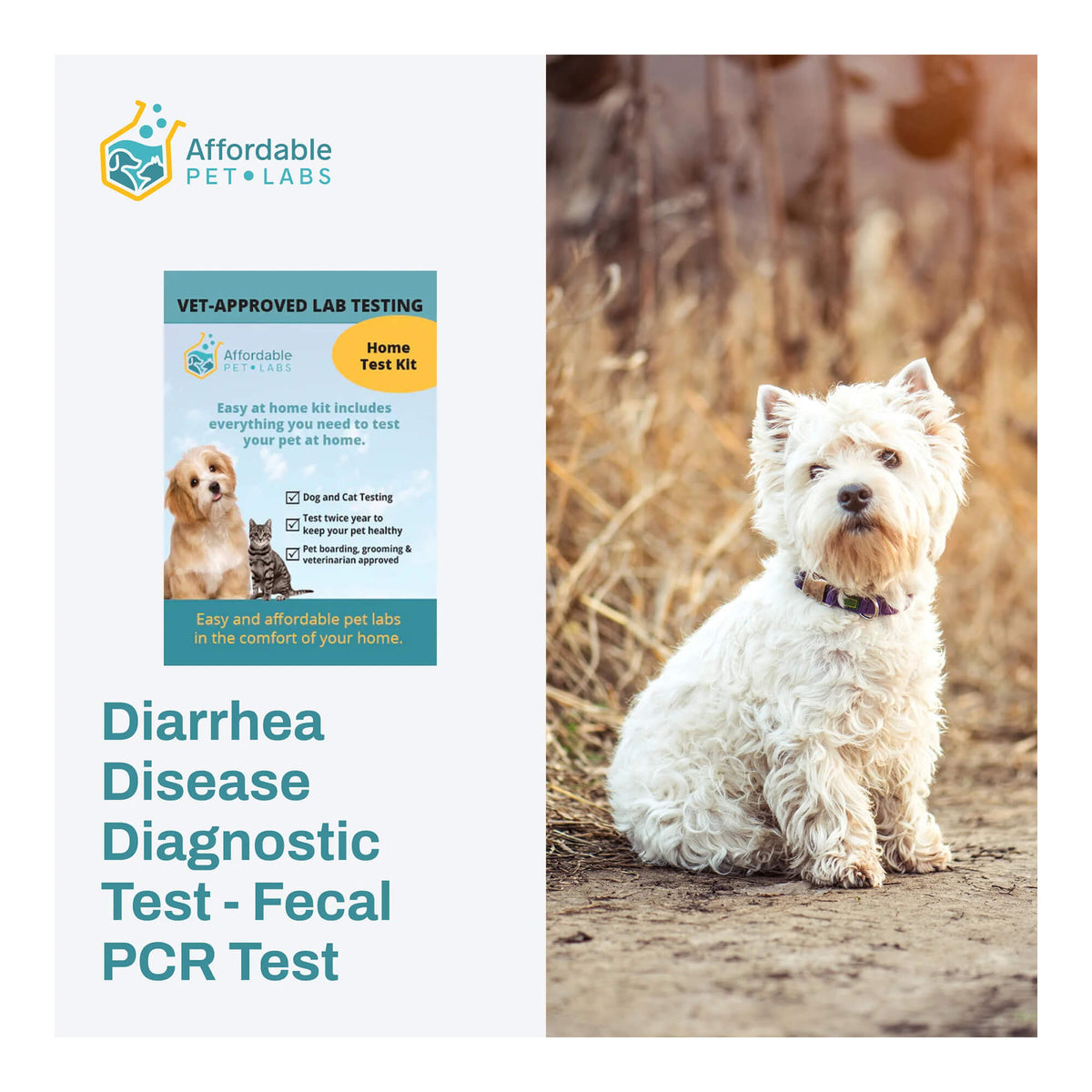 Diarrhea Disease Diagnostic Test, Fecal PCR Test For Dogs — Pet ...