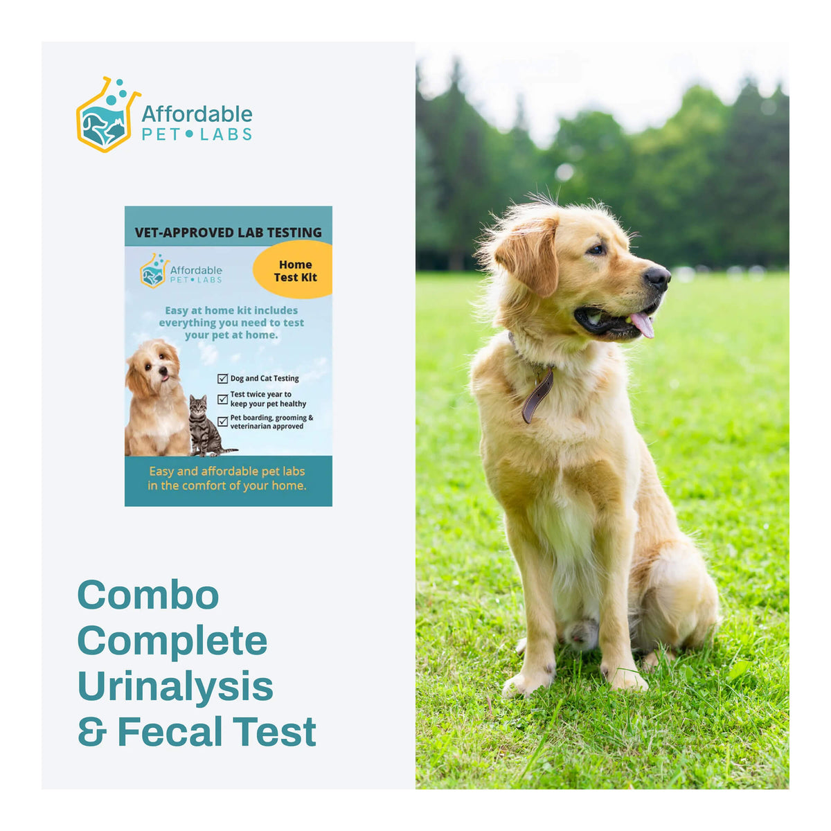 Combo Complete Urinalysis & Fecal Test For Dogs, Easy Home Kit — Pet ...