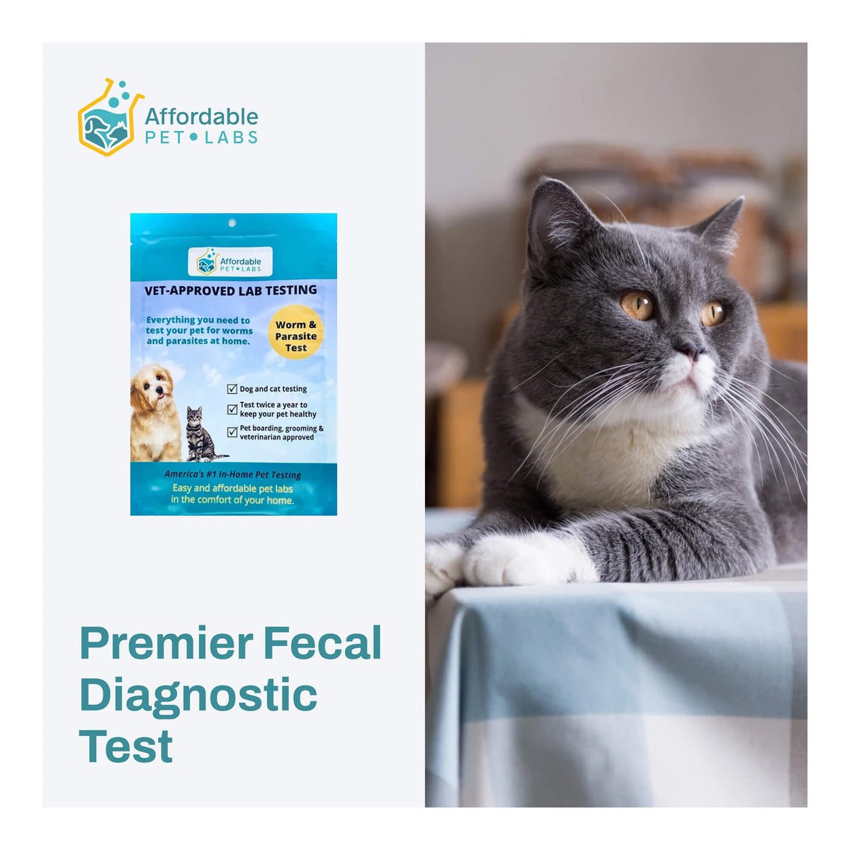 Premier Fecal Diagnostic Test For Cats Easy Home Kit by Affordable Pet ...