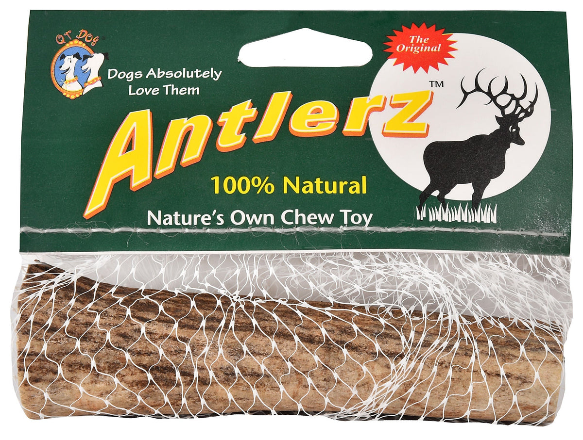 QT Dog Antlerz Natural Dog Chews — Pet Supplies 4 Less