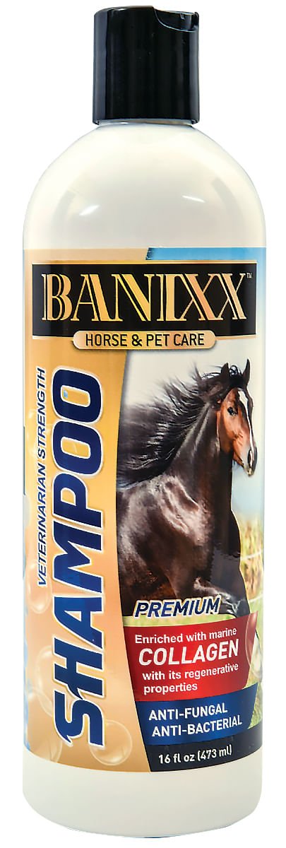 Banixx Veterinary Strength Shampoo for Dogs/ Horses, 16 oz — Pet ...