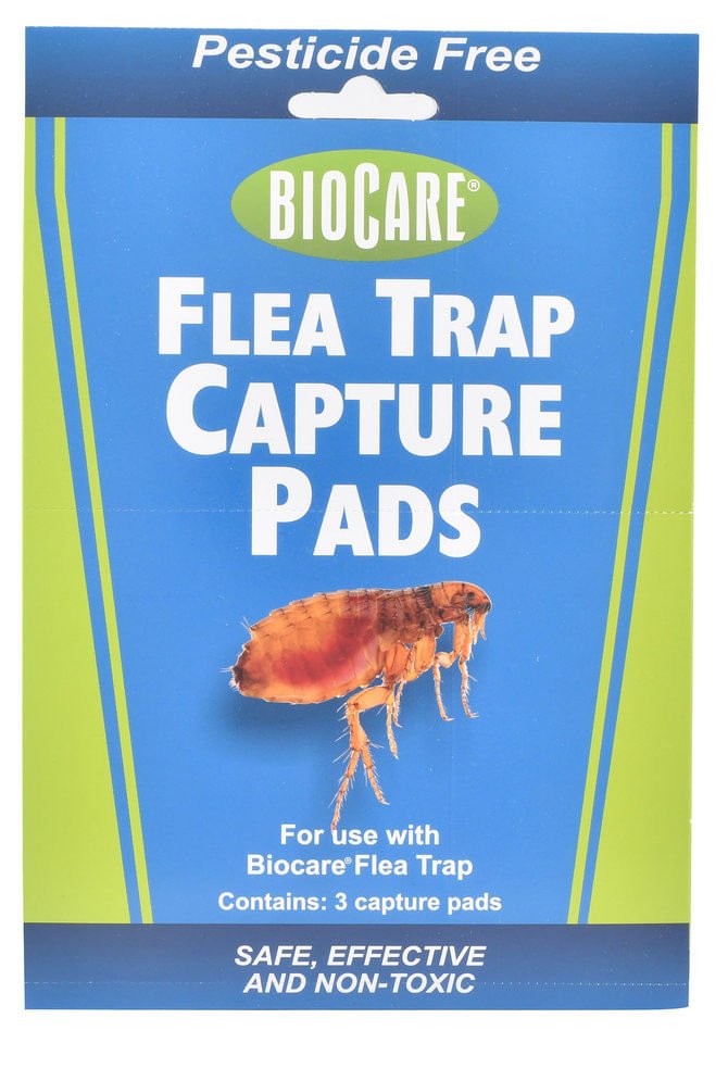 Flea Trap and Capture Pads (Sold Separately) by BioCare (SpringStar ...