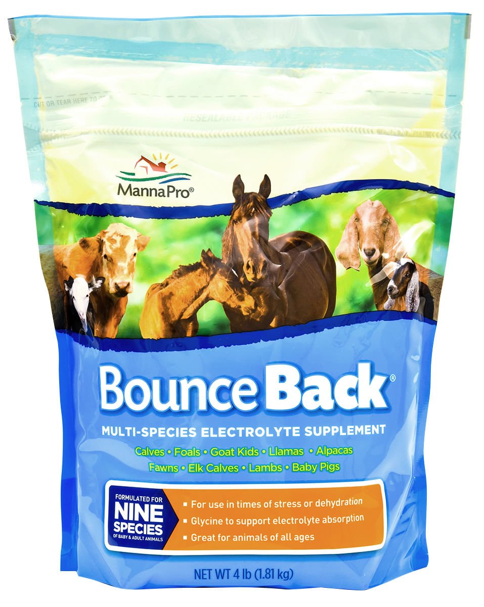 Manna Pro® Bounce Back® Multi-Species Electrolyte Suppl — Pet Supplies 4 Less