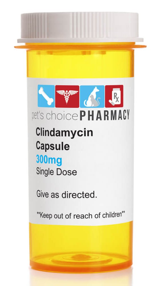 Clindamycin Antibiotic Capsules for Dogs — Pet Supplies 4 Less