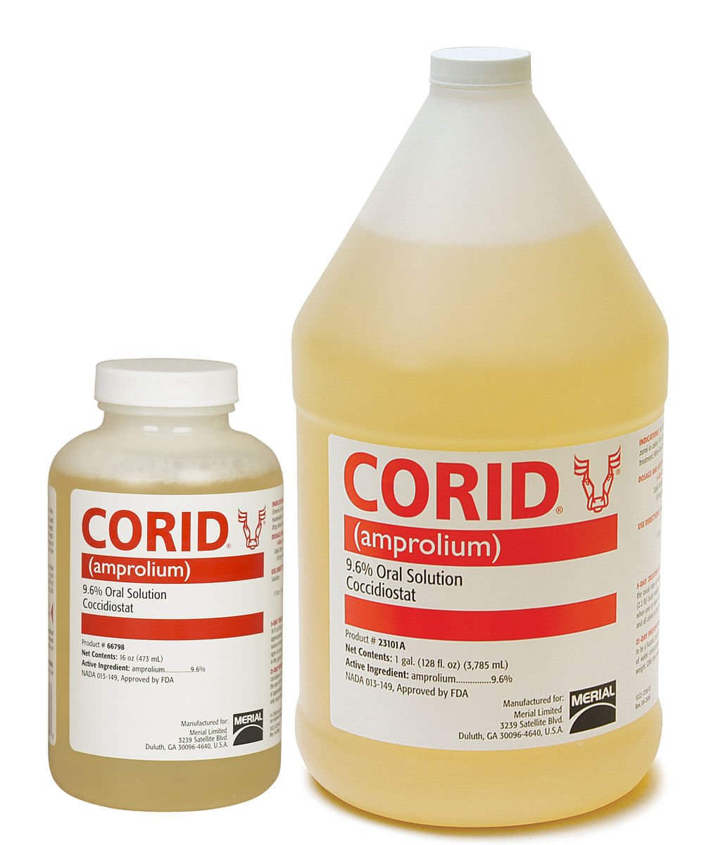 Corid Solution (Amprolium 9.6%) for Calves — Pet Supplies 4 Less