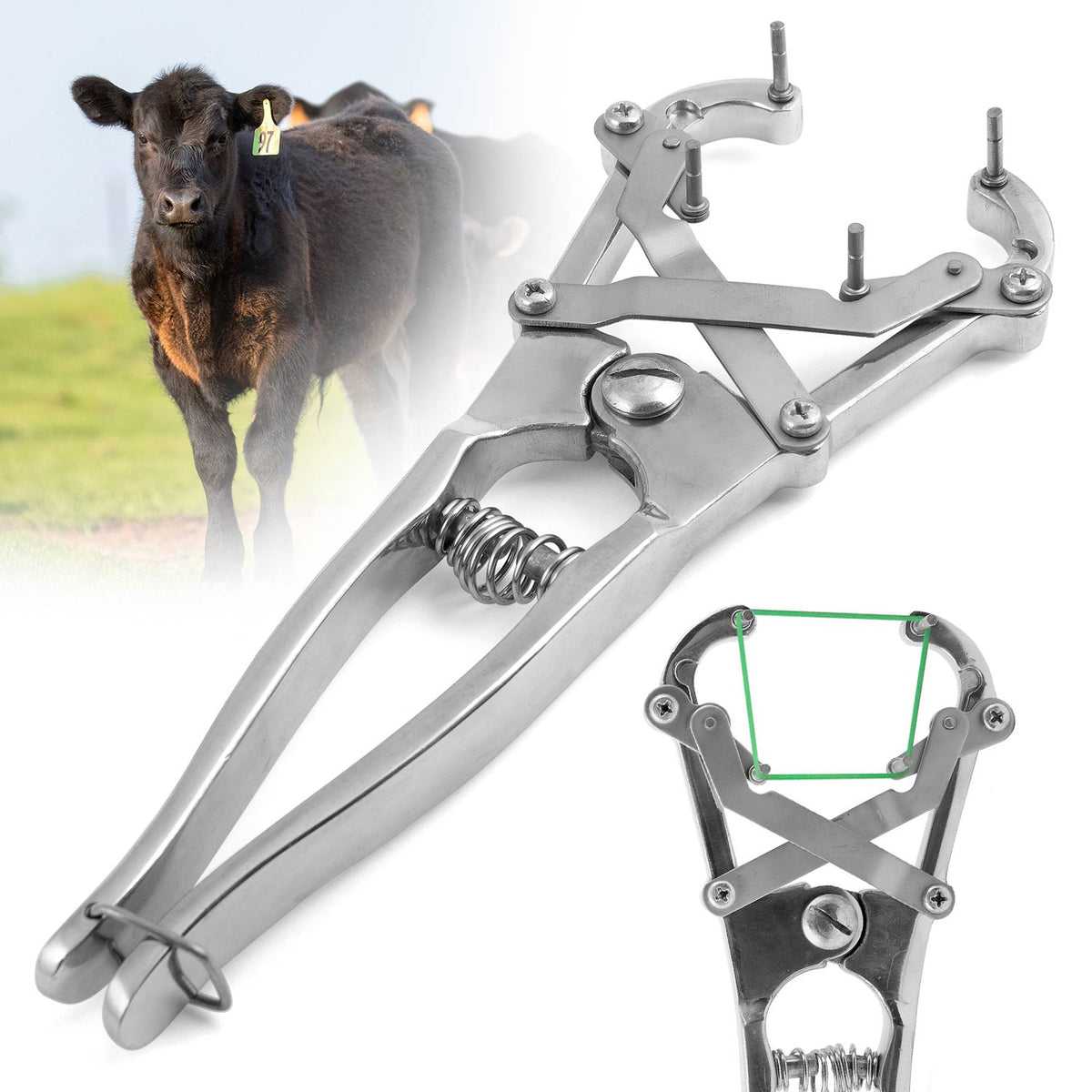 Jeffers Band Castration Tool for Cattle & Livestock — Pet Supplies 4 Less