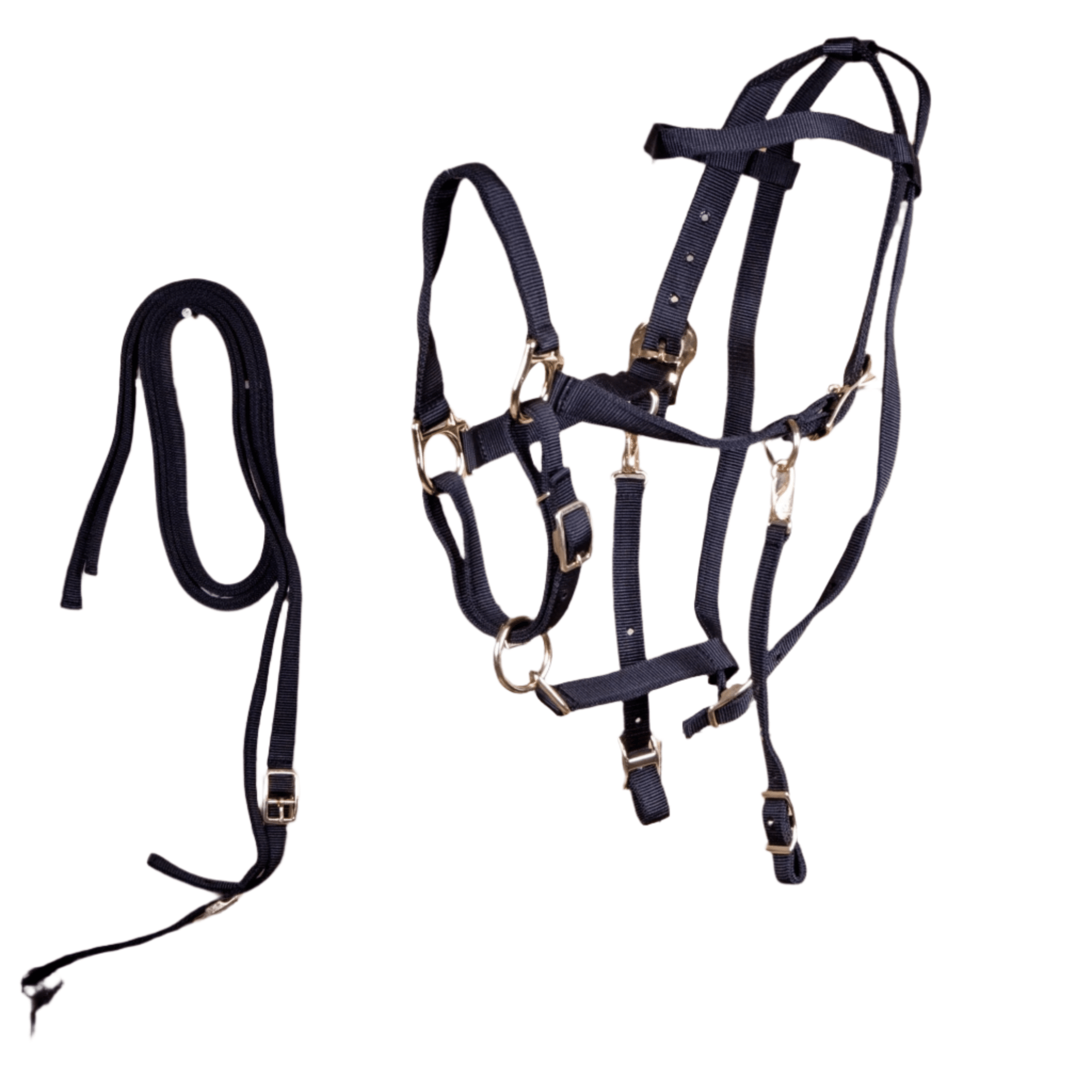 Jeffers Horse Bridle & Halter Poly Combo with Reins — Pet Supplies 4 Less
