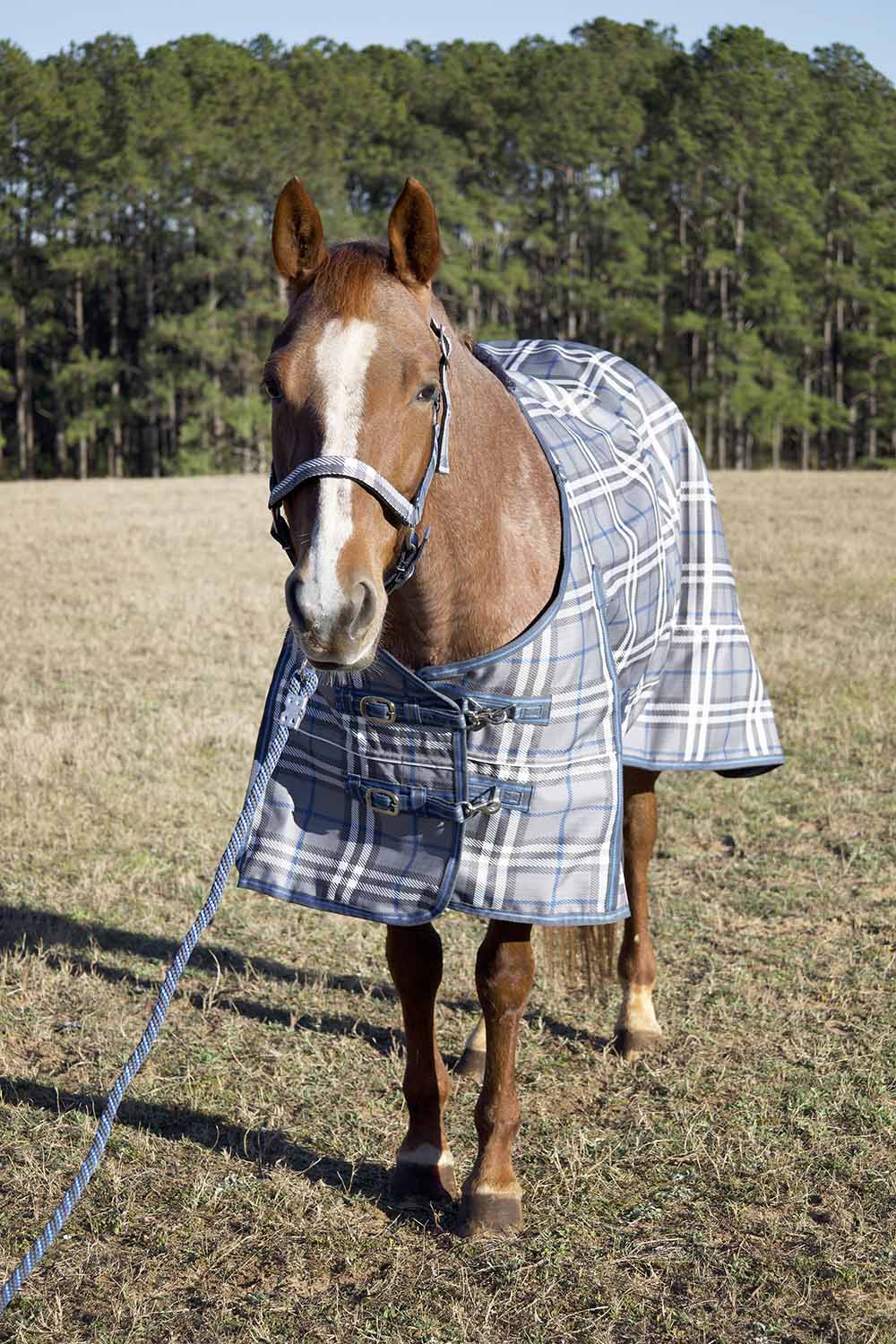 Jeffers Poplar Head Refuge 1200D Turnout Blanket, 240g, Hamilton Blue ...