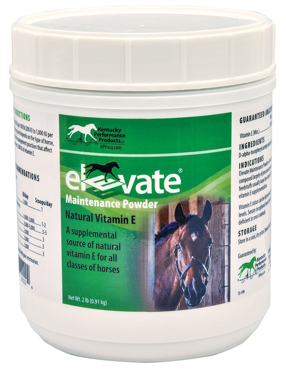 Elevate Maintenance Powder, 2 lb — Pet Supplies 4 Less