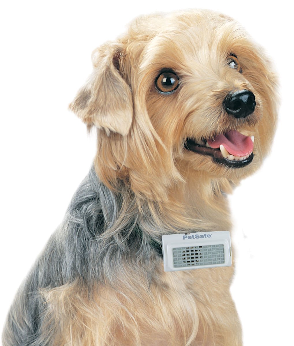 PetSafe Ultrasonic Dog Bark Control Collar — Pet Supplies 4 Less