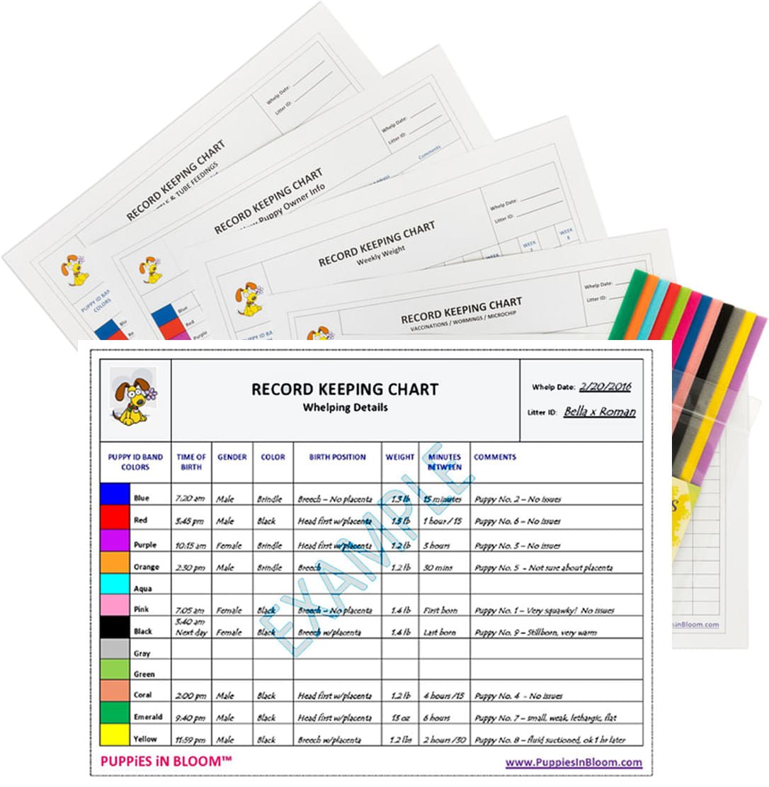 Puppies in Bloom Record Keeping Charts for Breeders — Pet Supplies 4 Less