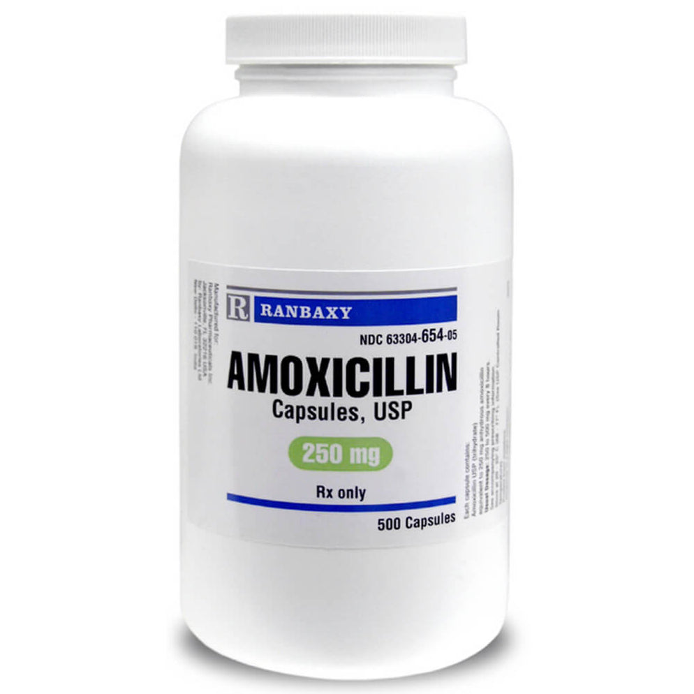 Rx Amoxicillin Capsules for Dogs and Cats — Pet Supplies 4 Less