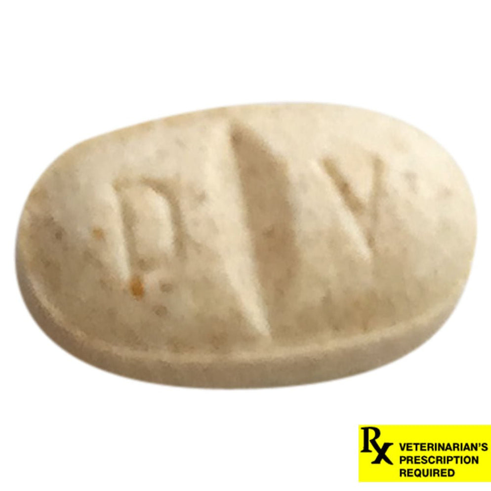 RX Clomicalm Tablets Calming Meds for Dogs — Pet Supplies 4 Less