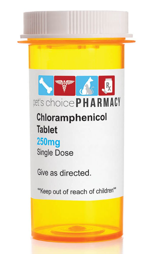 Rx Viceton (Chloramphenicol) Antibiotics for Dogs — Pet Supplies 4 Less