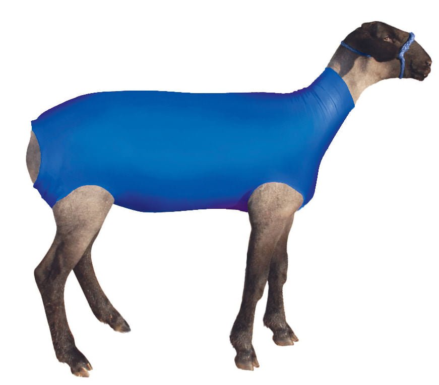 ShowPro Spandex Lamb Tube, Multi Color — Pet Supplies 4 Less