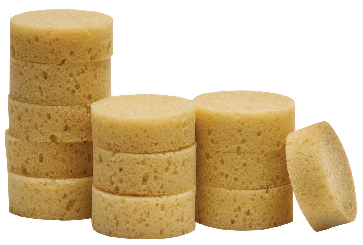 Durable Multi-Purpose Horse Grooming Sponges — Pet Supplies 4 Less