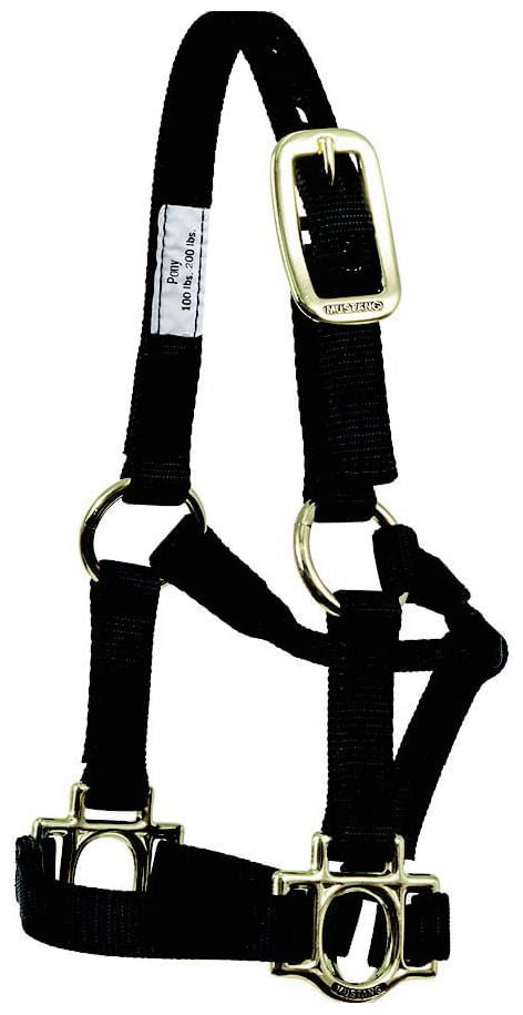 Mustang Traditional Nylon Pony Halter — Pet Supplies 4 Less