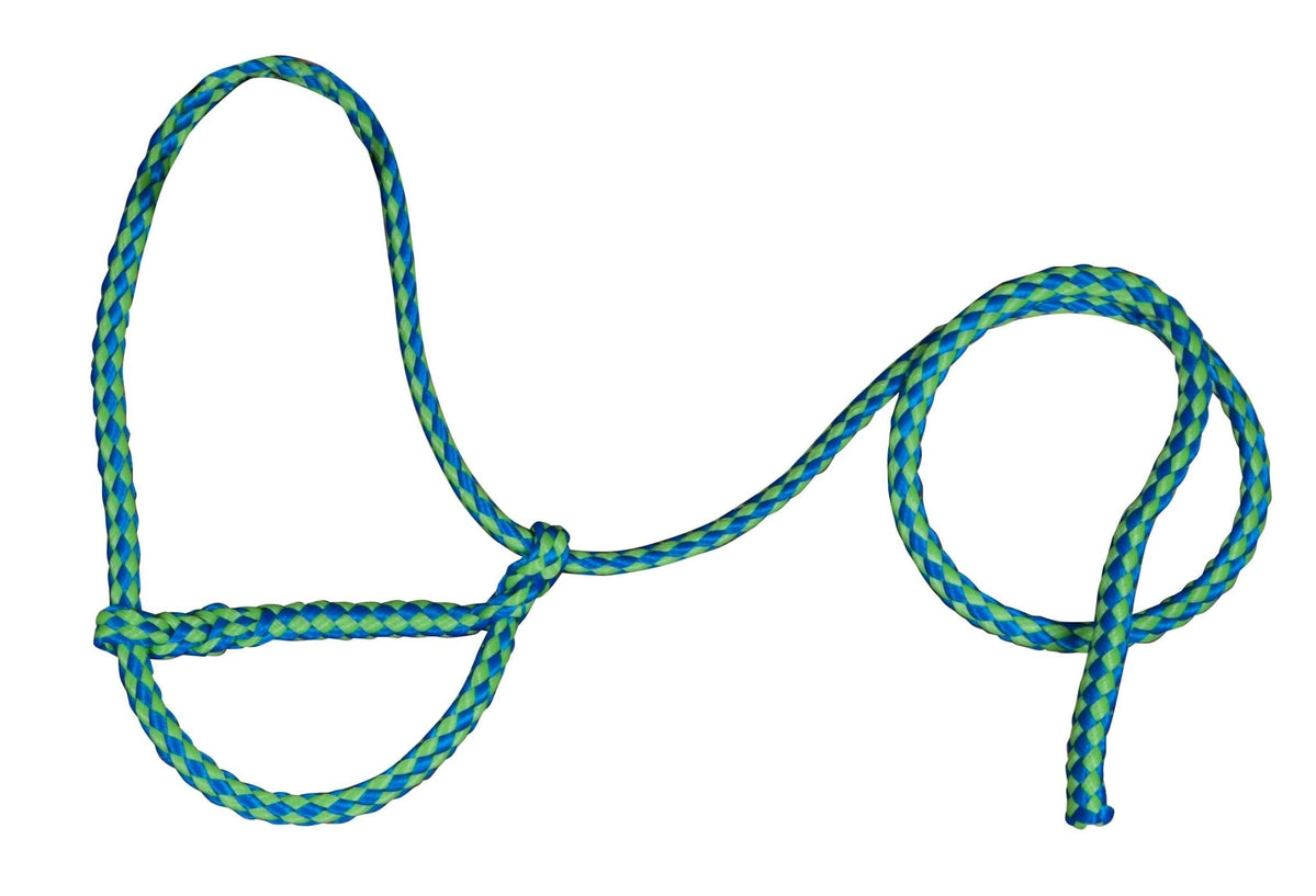 Braided Poly Sheep Halter with 4' Lead — Pet Supplies 4 Less