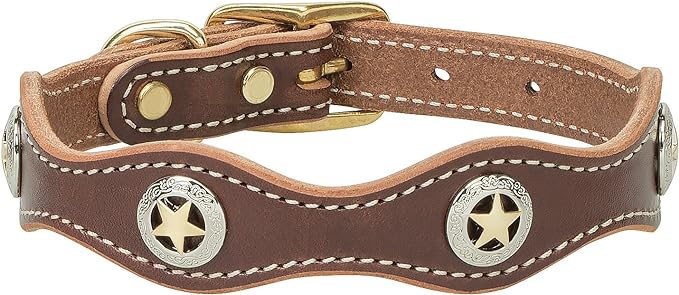 Weaver Lonestar Dog Collar, 1" Wide — Pet Supplies 4 Less